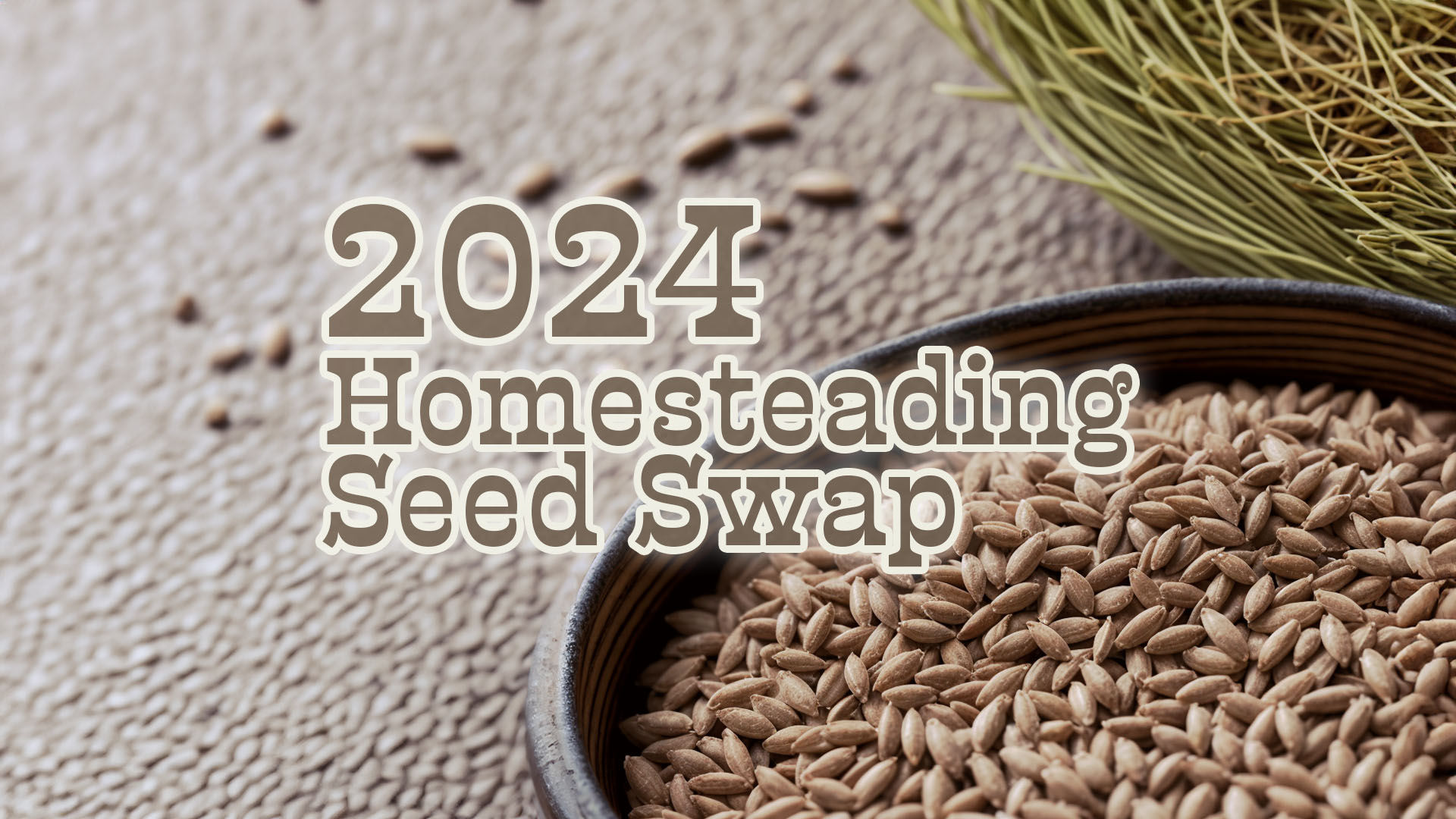 2024 Homesteading Seed Swap - Hurricane Homestead